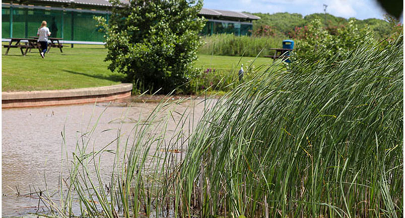 Wates expands DWP portfolio - Wates